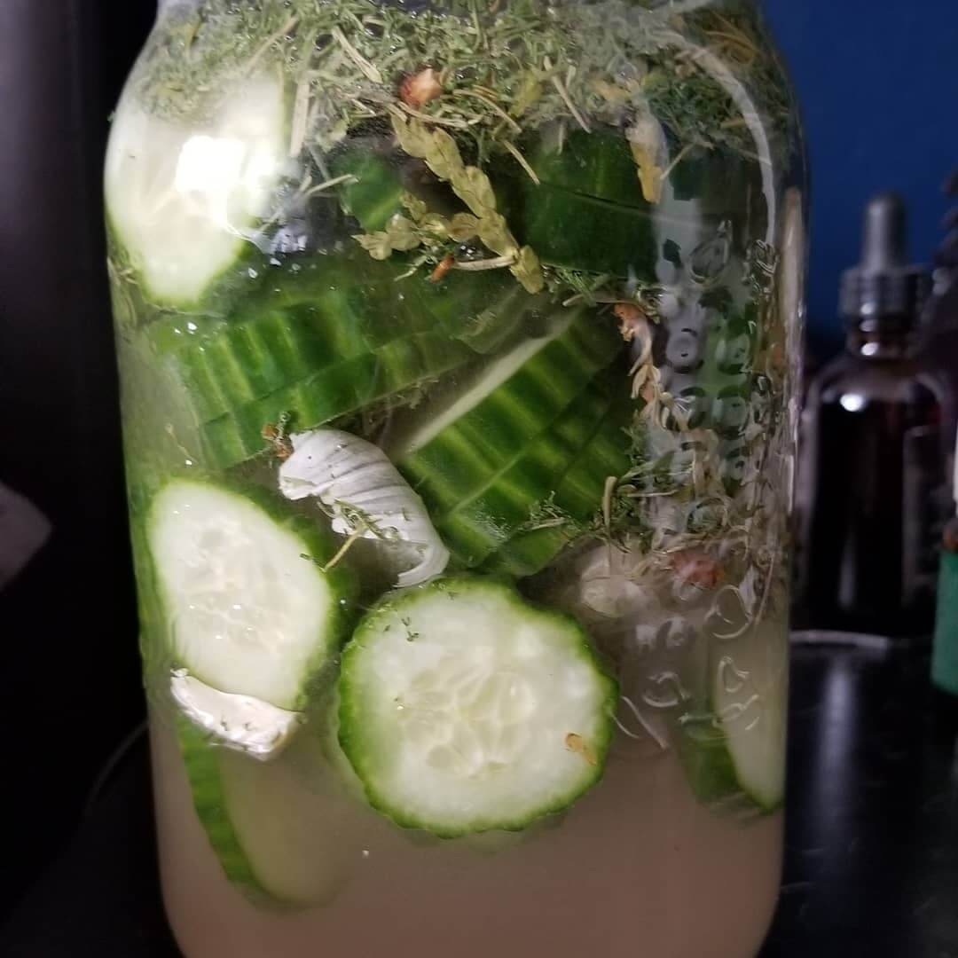 Solar Power Recipe: Spicy Evergreen Forest Pickles - Solar Power Health